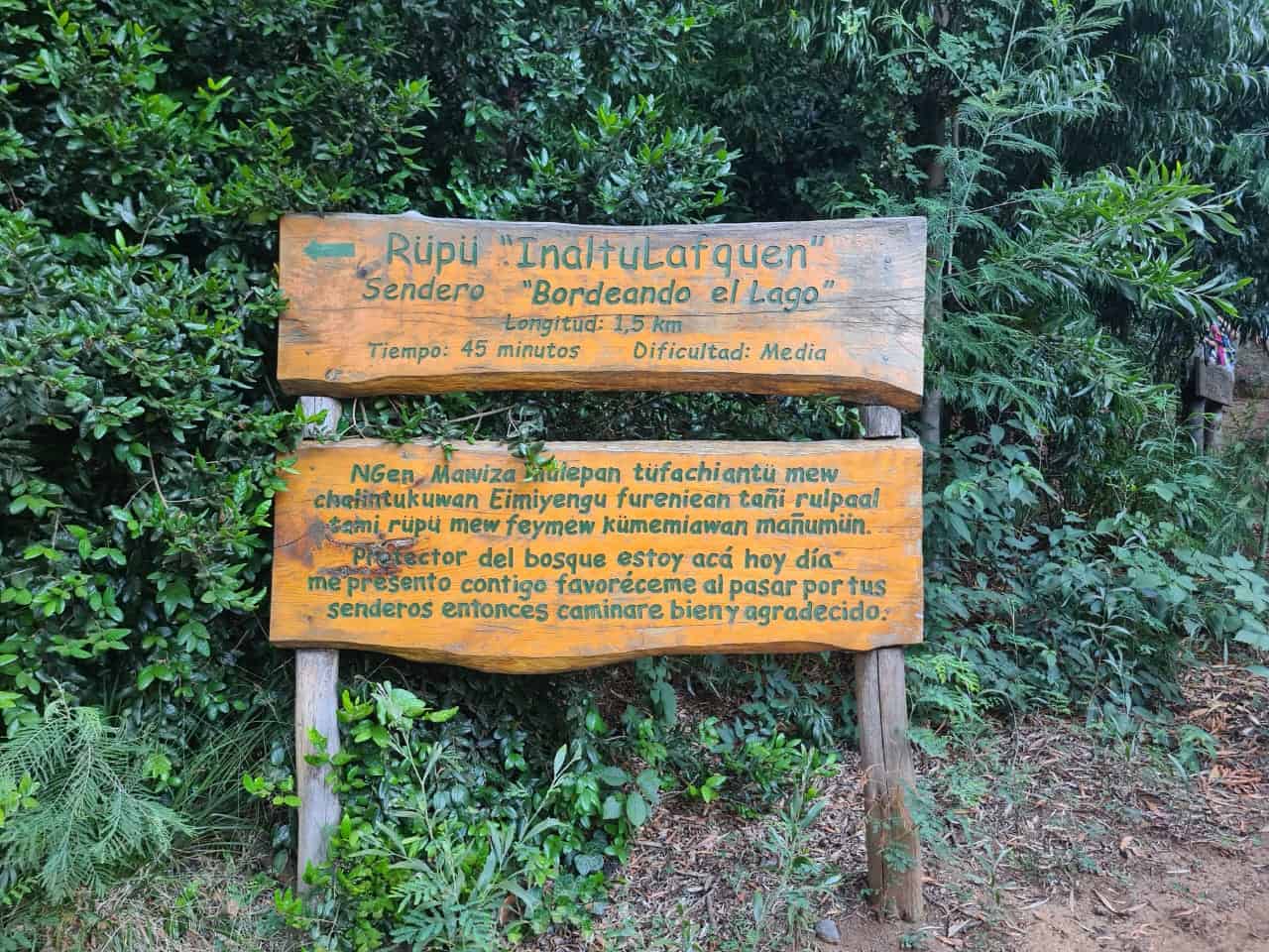 Península Lican Ray, un destino perfecto para explorar - VisitarChile