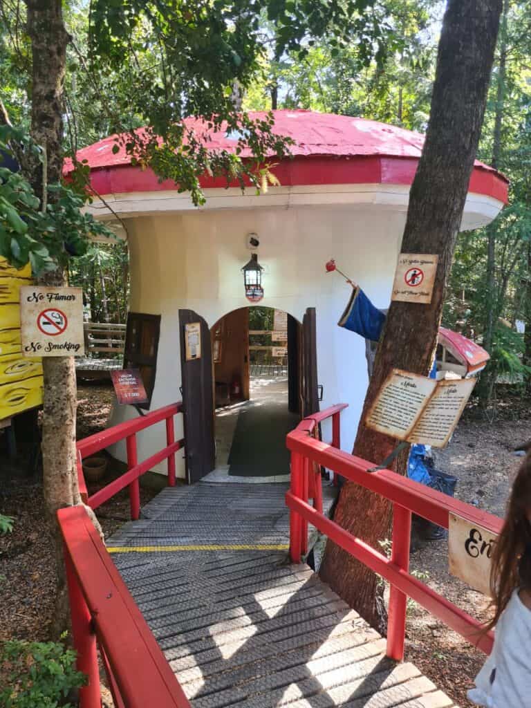 Bosque Encantado, ven y disfruta de un mundo mágico - VisitarChile