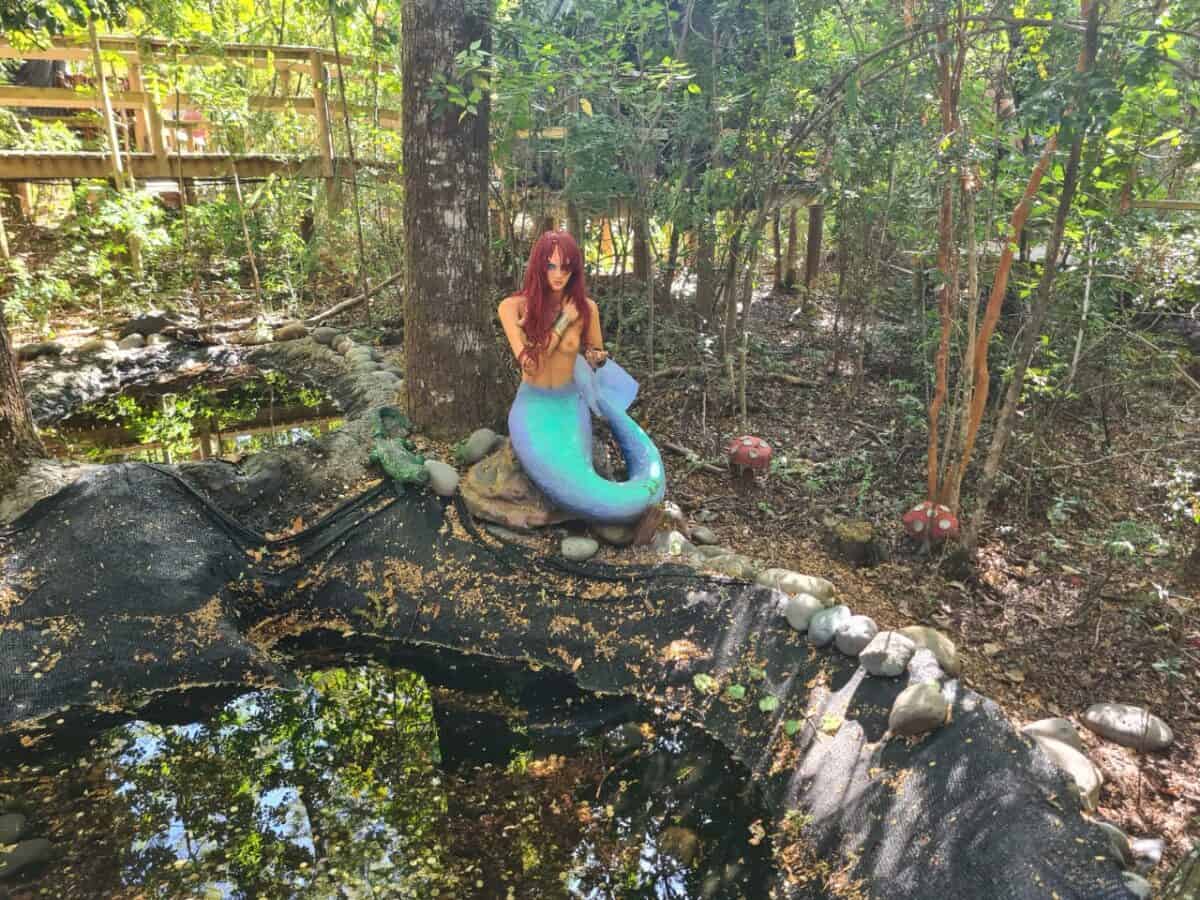 Bosque Encantado, ven y disfruta de un mundo mágico - VisitarChile