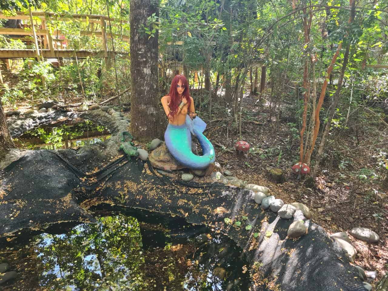 Bosque Encantado, ven y disfruta de un mundo mágico - VisitarChile