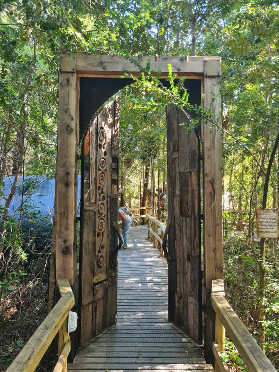 Bosque Encantado, ven y disfruta de un mundo mágico - VisitarChile