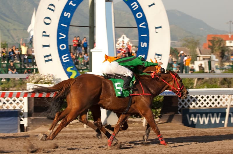 Hipódromo Chile: Una Experiencia Turística Única En Santiago - VisitarChile
