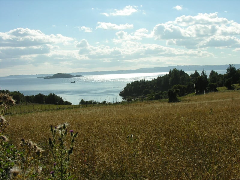 La Mágica Experiencia de la Muestra Costumbrista en Isla Huapi ...