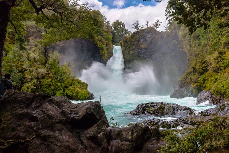 Salto del Huilo Huilo: Una Cascada de Ensueño en la Selva Valdiviana ...