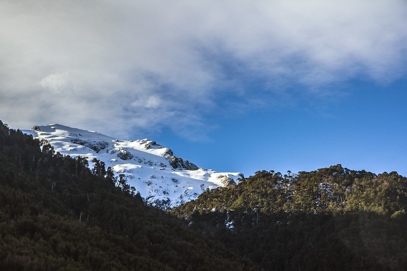 Descubre la Reserva Nacional China Muerta: Un Edén en La Araucanía ...