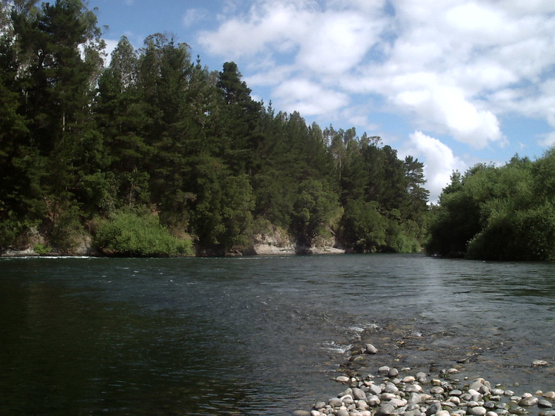 Descubriendo el Río Toltén en Toltén: Un Viaje por la Naturaleza y ...