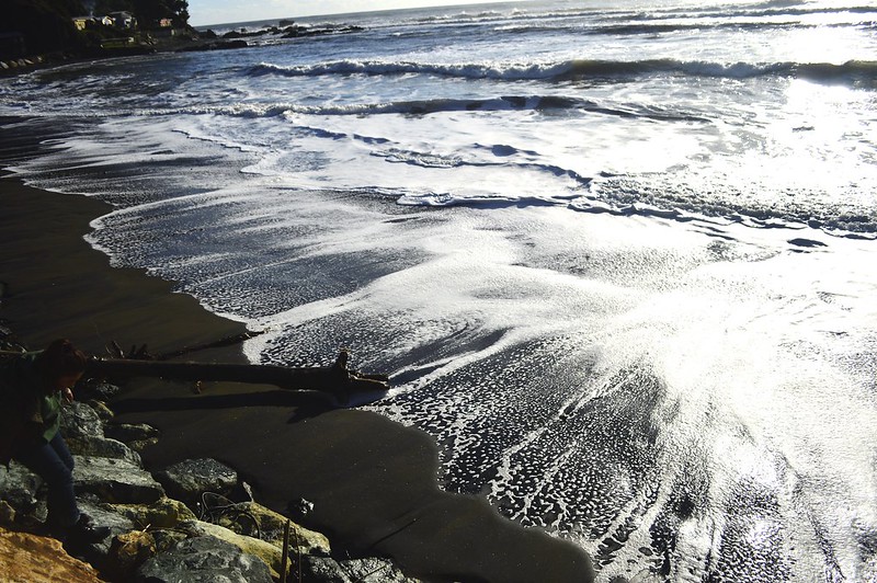 Descubriendo Playa Grande Los Pinos en Tolten: Un Tesoro Natural en la ...