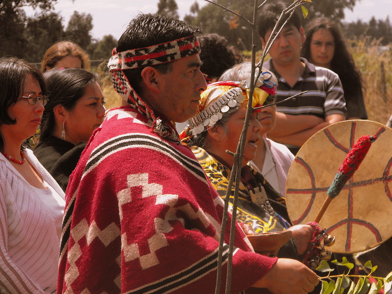 Encuentro Cultural Mapuche en Pitrufquén: Un Puente entre Tradiciones y ...