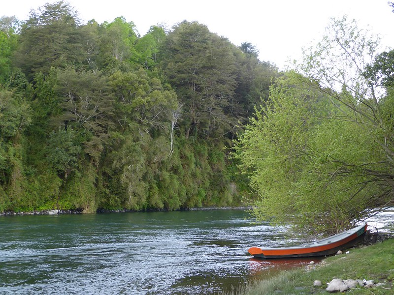 El Río Toltén: Corazón Fluvial de la Araucanía en Pitrufquén - VisitarChile