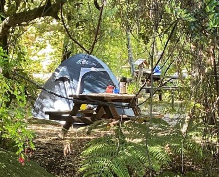 Camping en Pucón: Los 9 Mejores Campings - VisitarChile