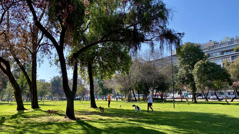 Descubre el Parque Balmaceda: Un Pulmón Verde en el Corazón de ...