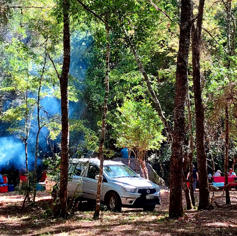 Camping en Collipulli: Los 2 Mejores Camping - VisitarChile