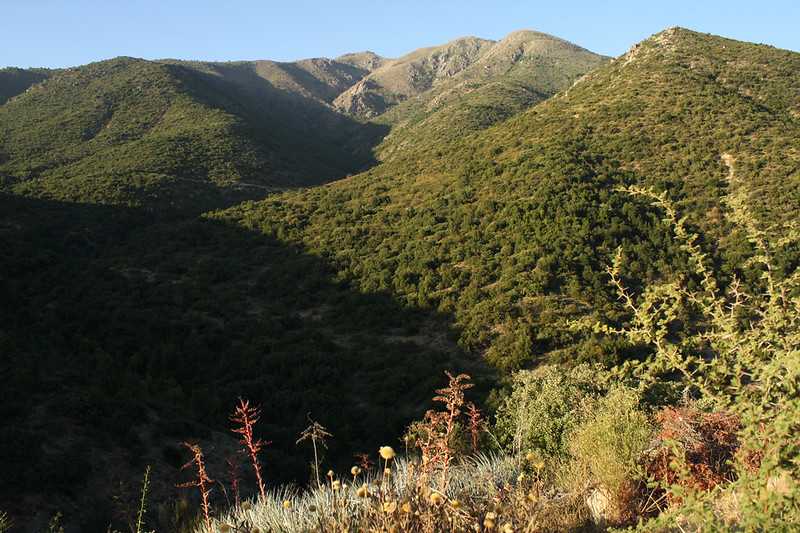 Caleu: Un Refugio de Naturaleza e Historia en la Puerta de la Región ...
