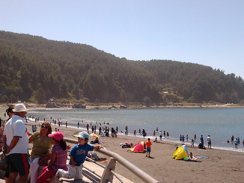 Caleta Lenga: El Alma Marinera que Conquista los Sentidos - VisitarChile