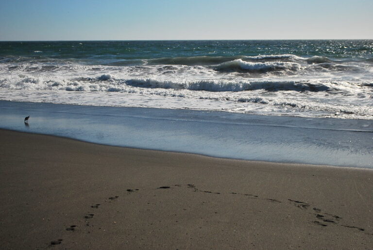 Playa Mure: El Secreto Marítimo de Cobquecura, Donde el Río Abraza al ...