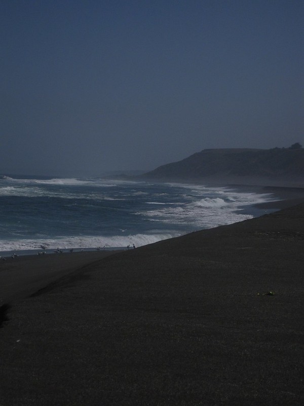 Playa de Buchupureo: La Joya Salvaje del BioBío - VisitarChile