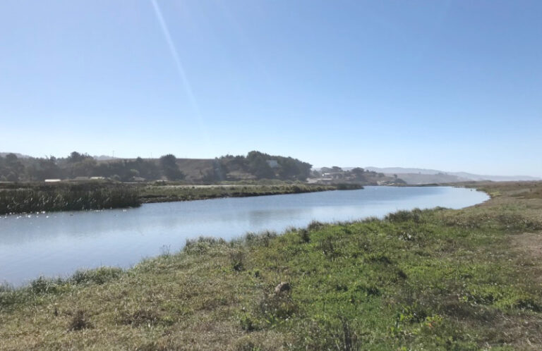 Río Taucú: El Secreto Costero De Cobquecura Que Debes Descubrir ...